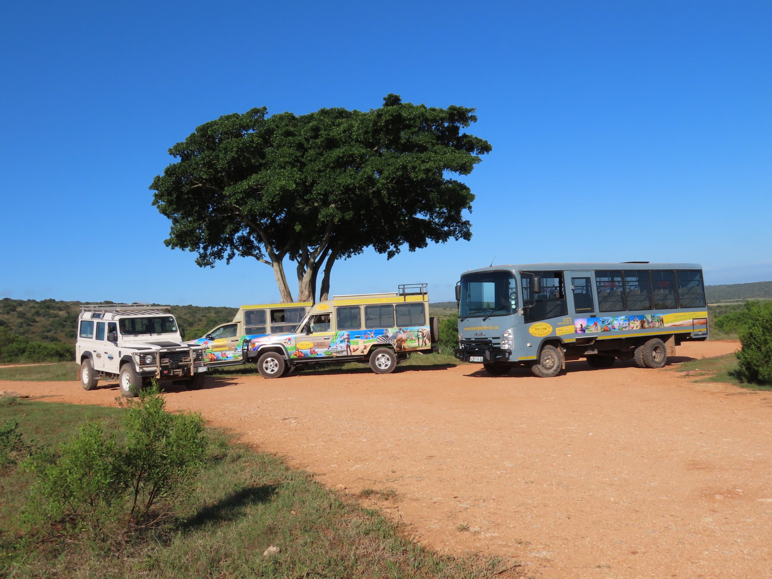 Dungbeetle River lodge cc - Visit Eastern Cape