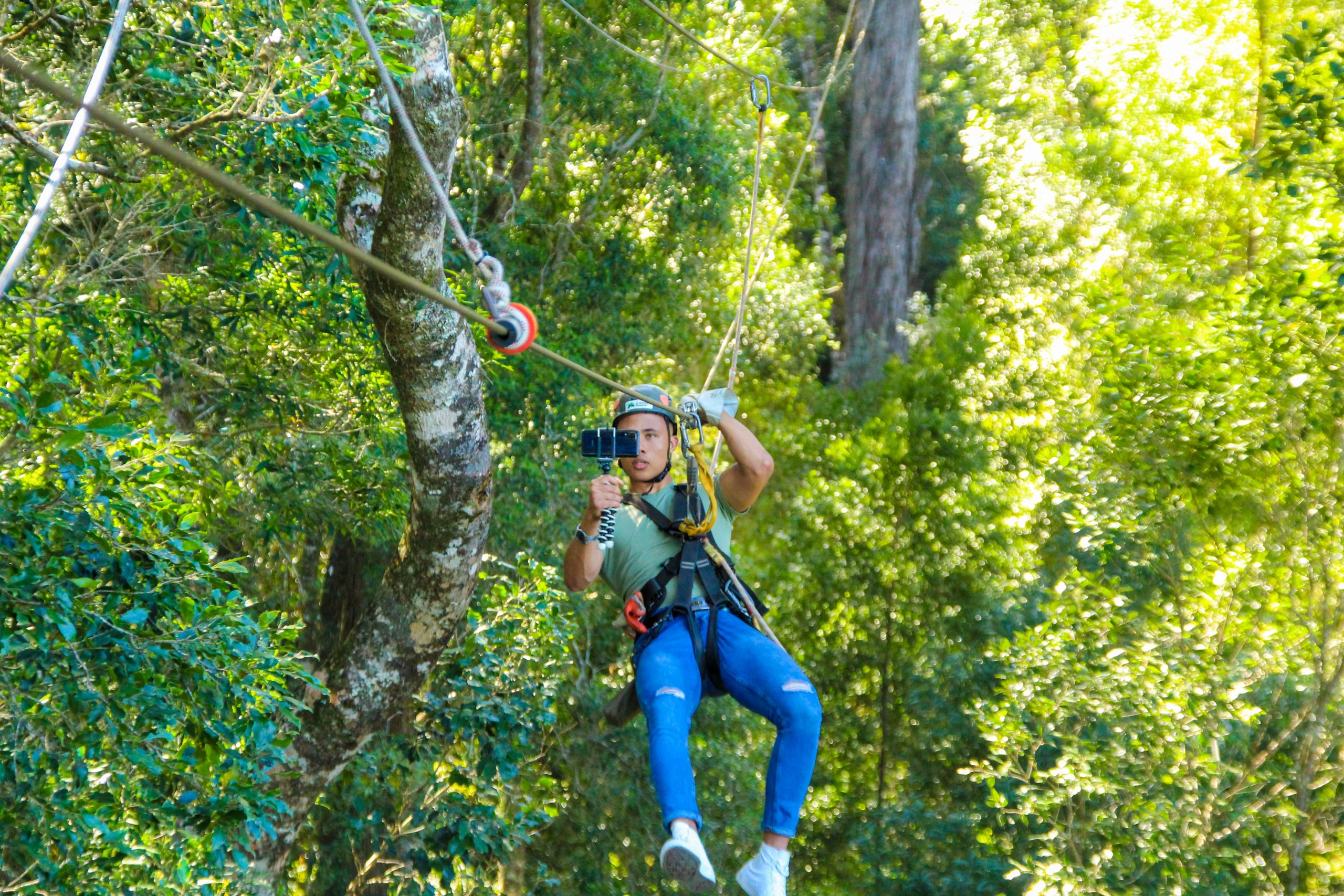 Tsitsikamma Canopy Tour - Visit Eastern Cape
