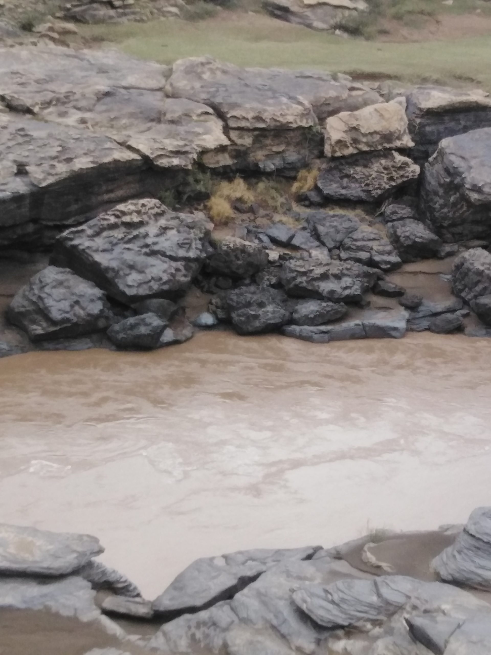 Zikhali Tourism Fun - Visit Eastern Cape