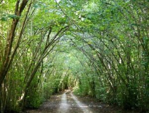 Amathole Mountains - Visit Eastern Cape